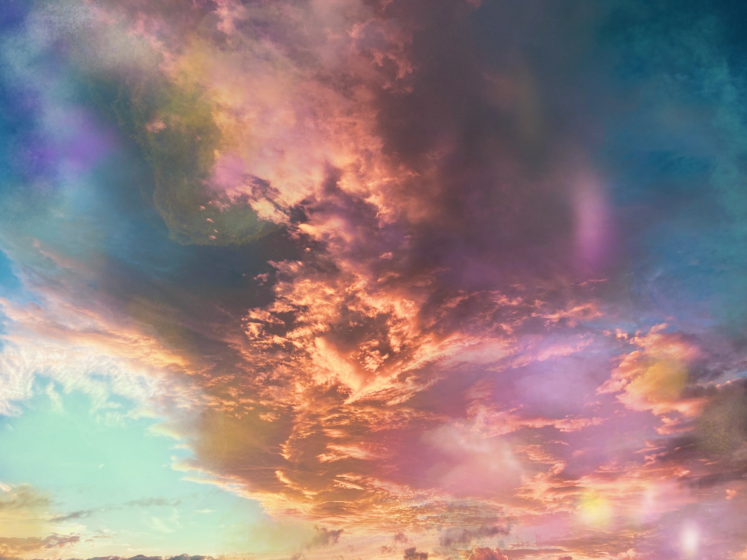 Shop — laura.a.westbrook