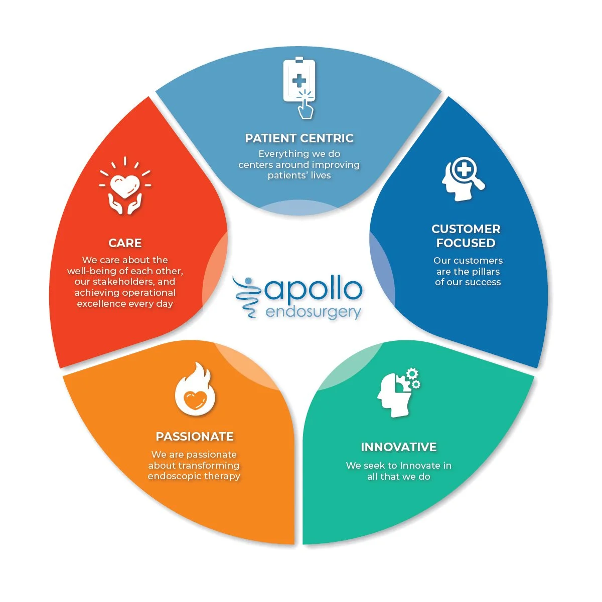 Apollo Endosurgery — DANIELLE ALEXANDER DESIGN