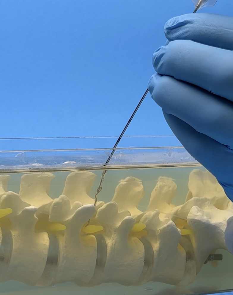 Neuromodulation Simplified | Neuronoff