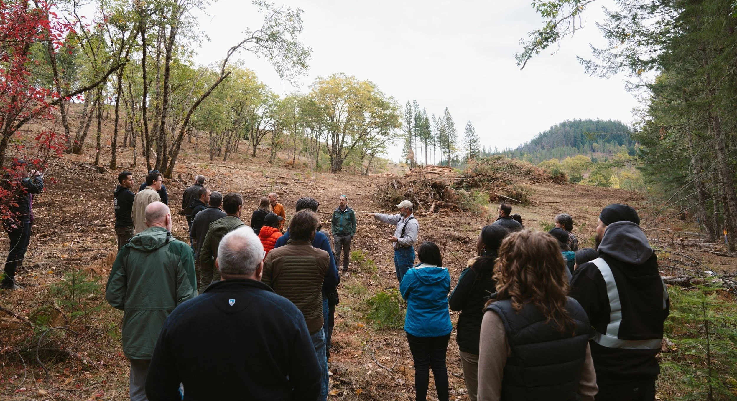 Restoring Forests on the Cow Creek Umpqua Tribe’s Ancestral Lands ...