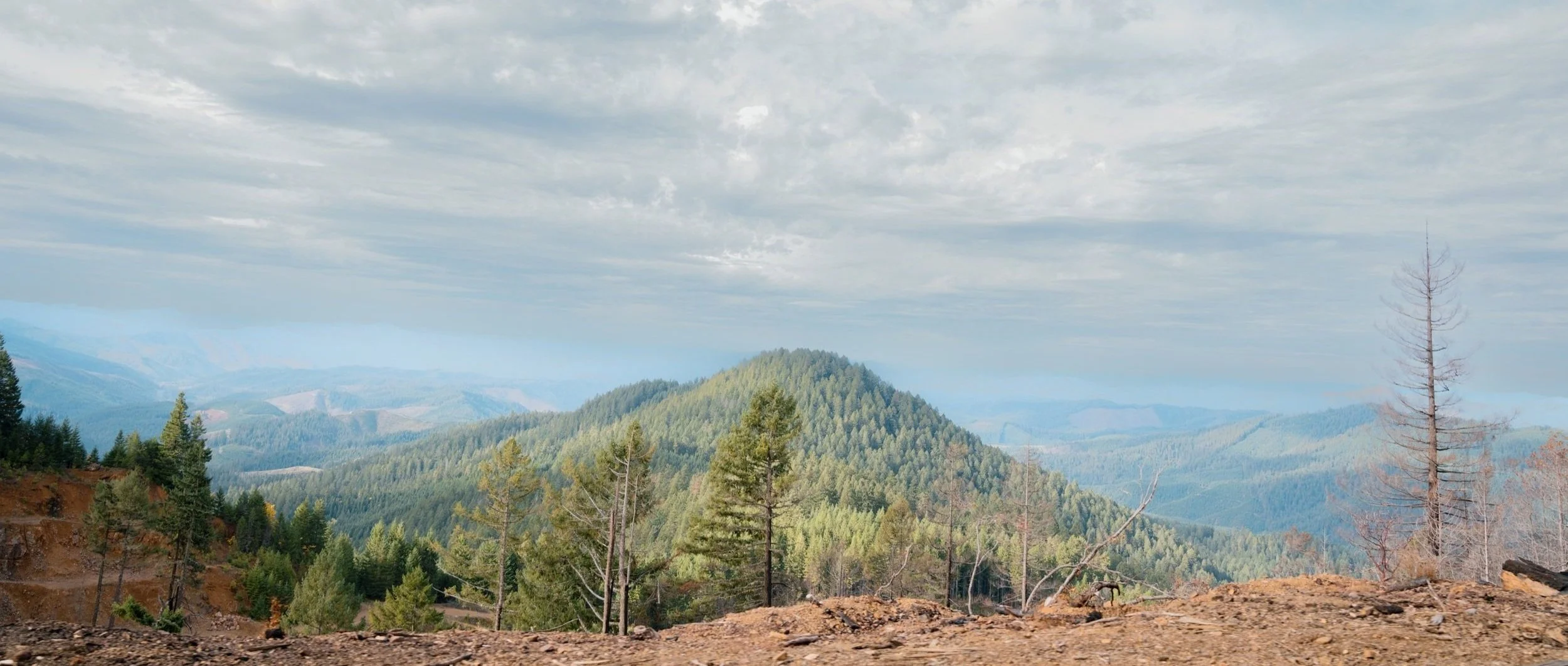 Restoring Forests on the Cow Creek Umpqua Tribe’s Ancestral Lands ...