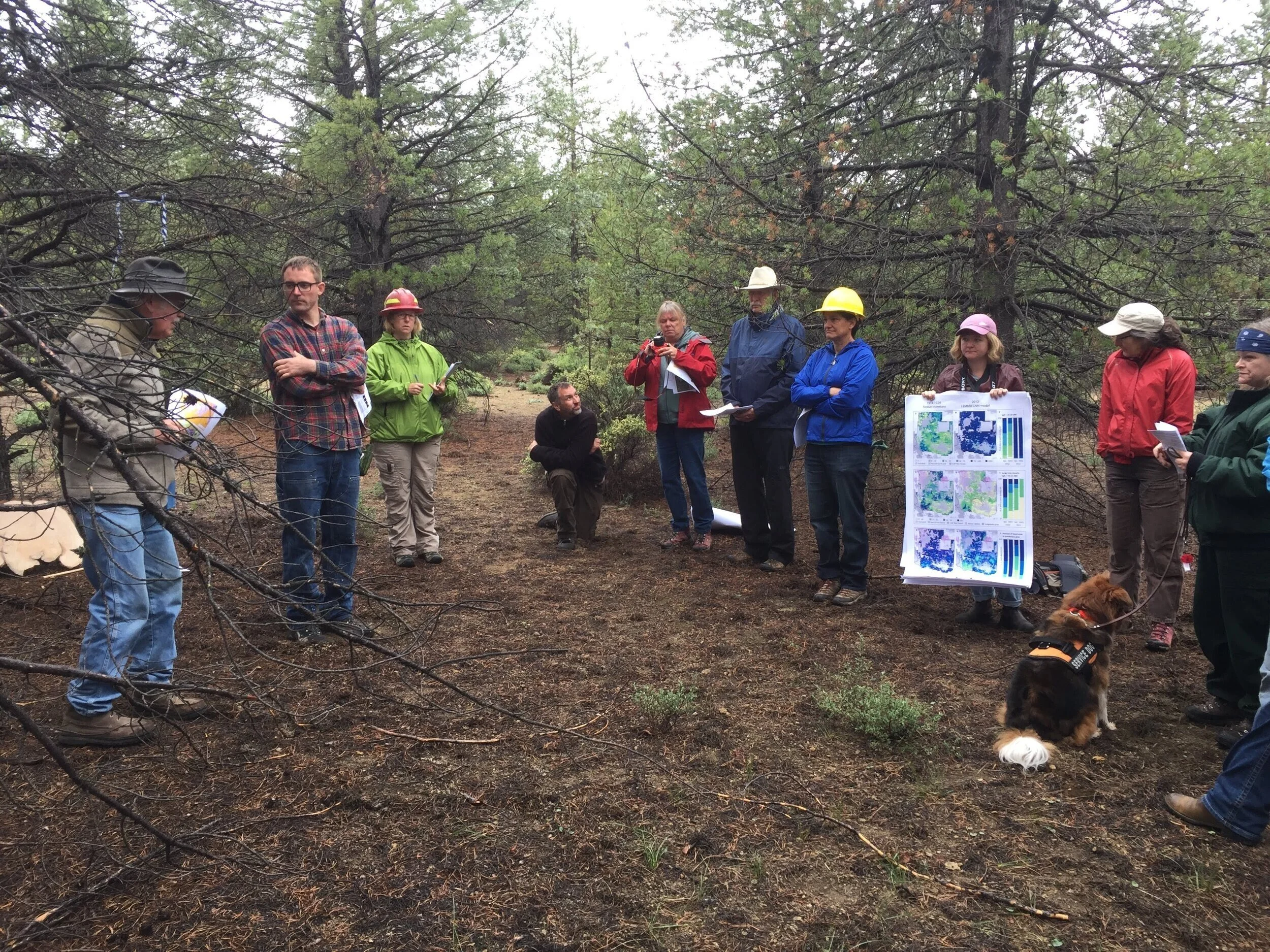 Forests — Sustainable Northwest