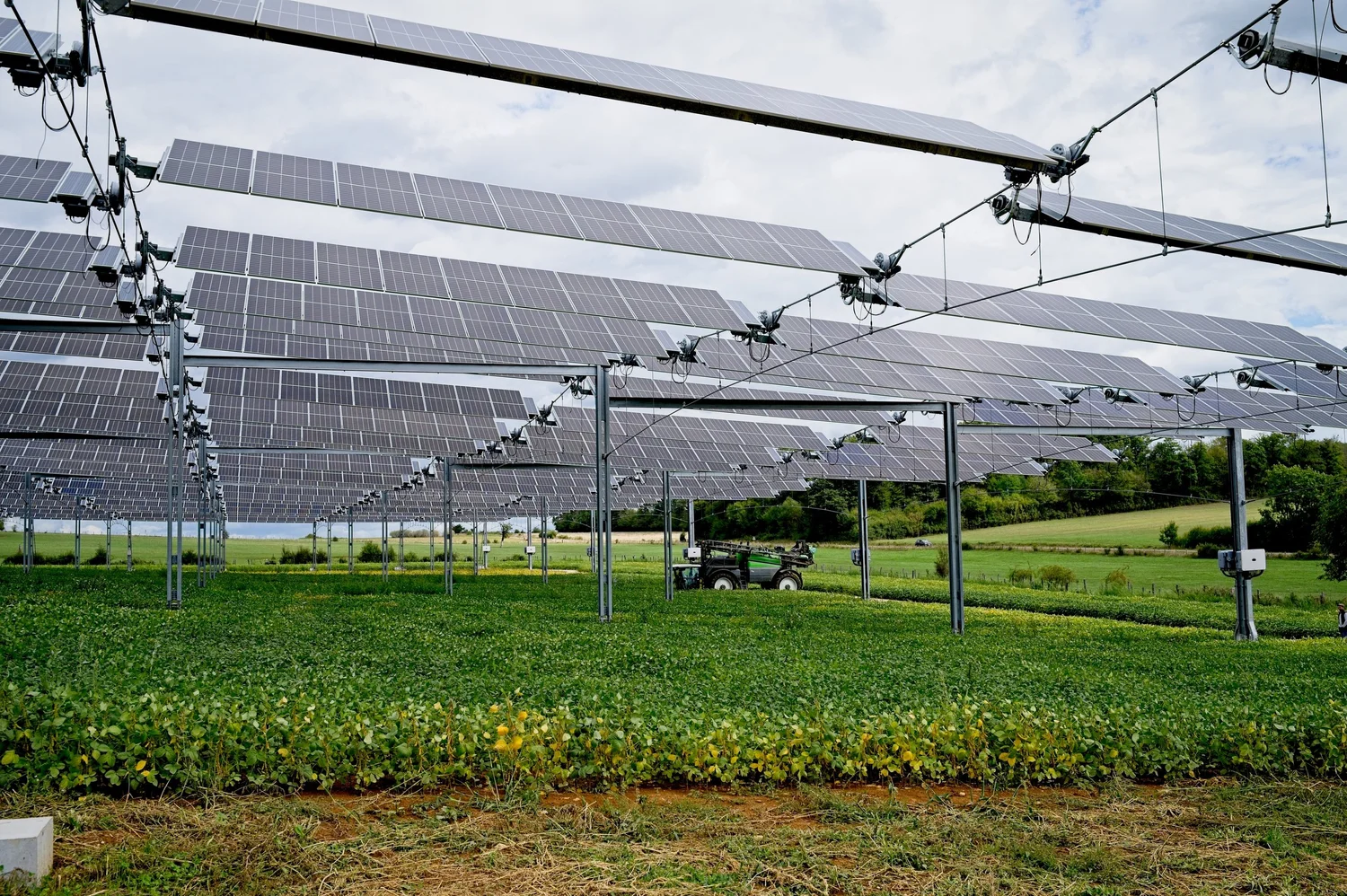 4 Things To Know About Agrivoltaics — Sustainable Northwest