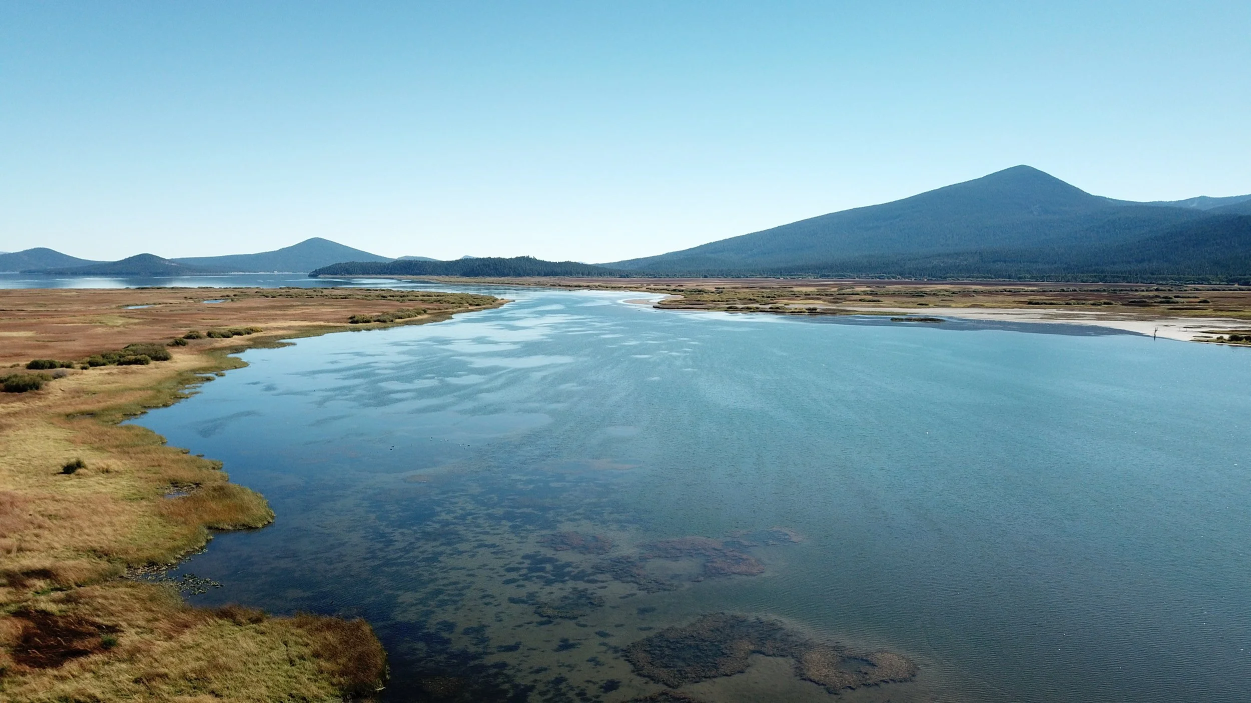 History and Achievements — Sustainable Northwest
