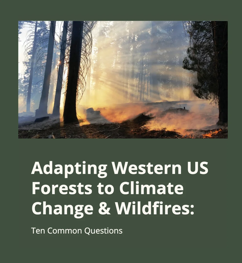 What can we do to address the wildfire problem? — Sustainable Northwest