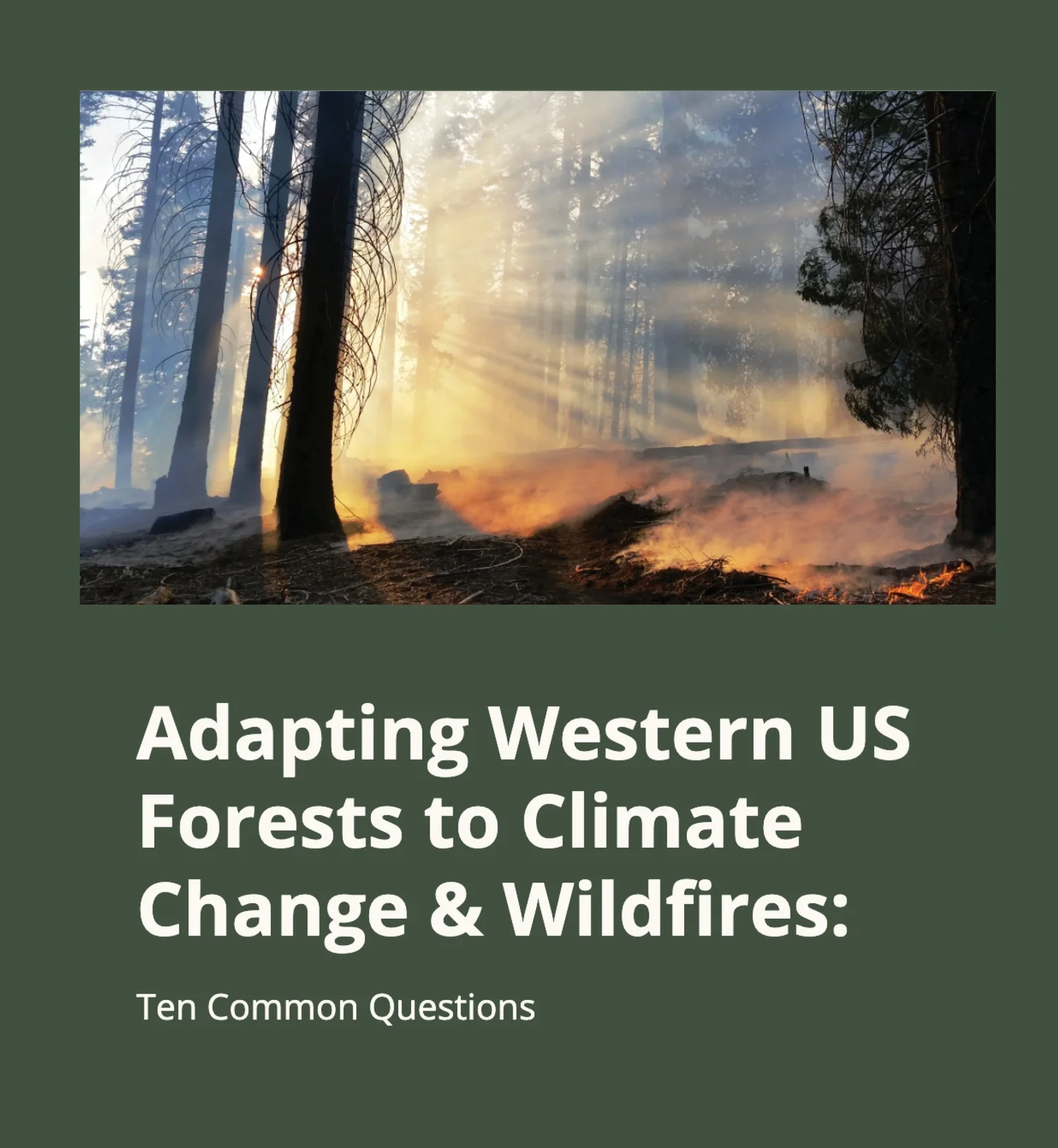 What can we do to address the wildfire problem? — Sustainable Northwest