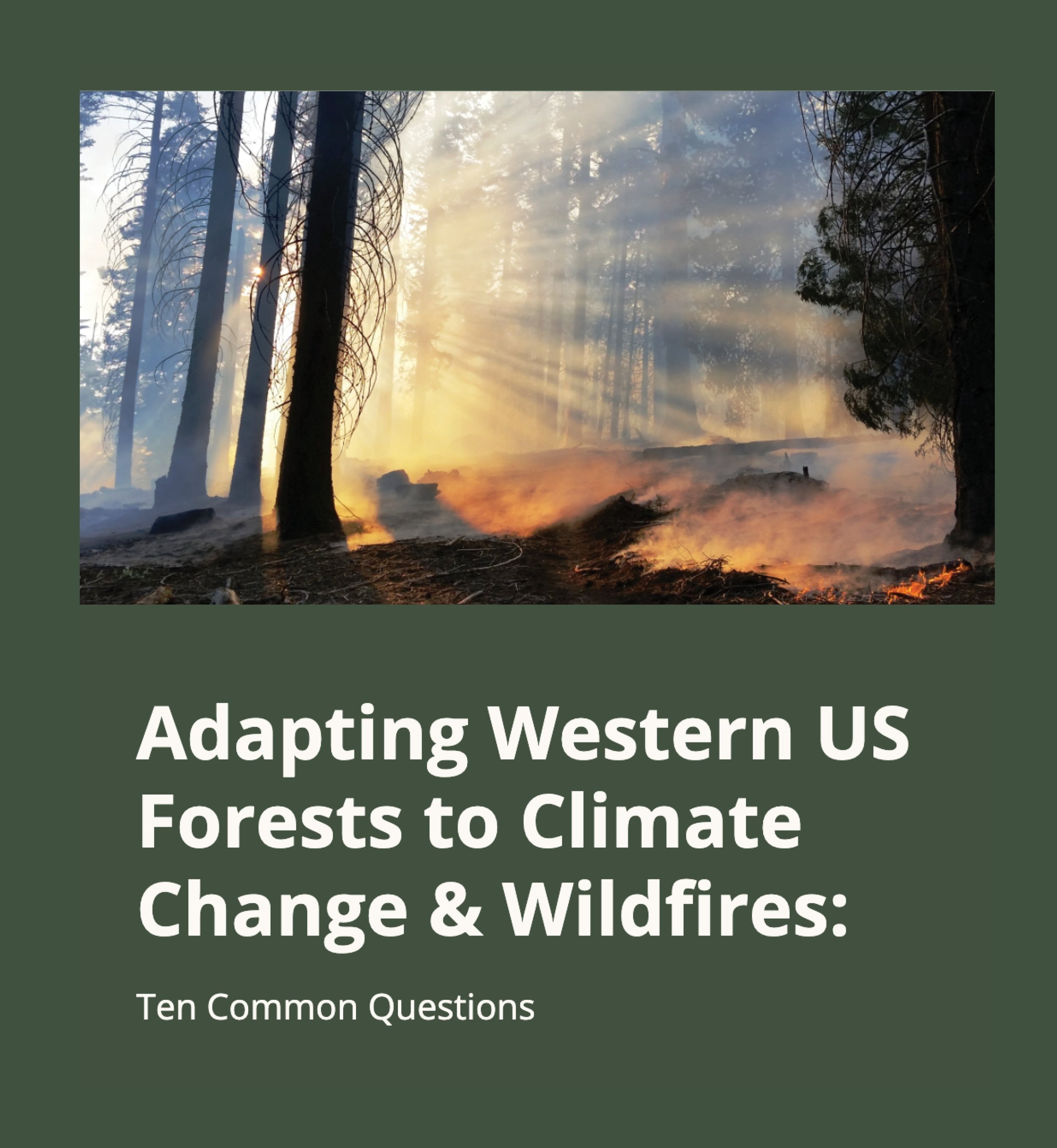 What can we do to address the wildfire problem? — Sustainable Northwest