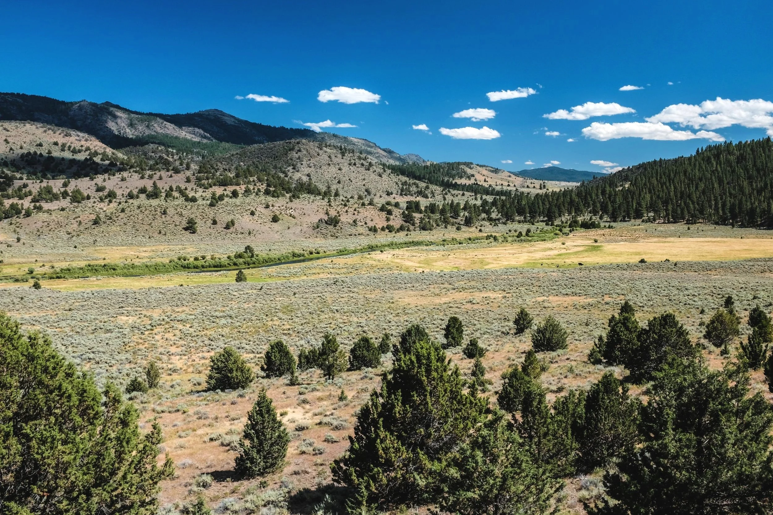 Forests — Sustainable Northwest