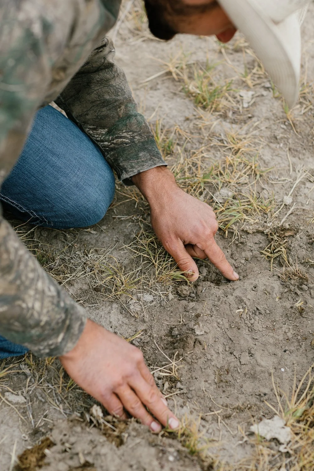 Understanding the Basics of Regenerative Agriculture and Soil Health ...