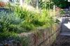 Fig Tree Pocket Garden — My Verandah | Subtropical Gardens Brisbane