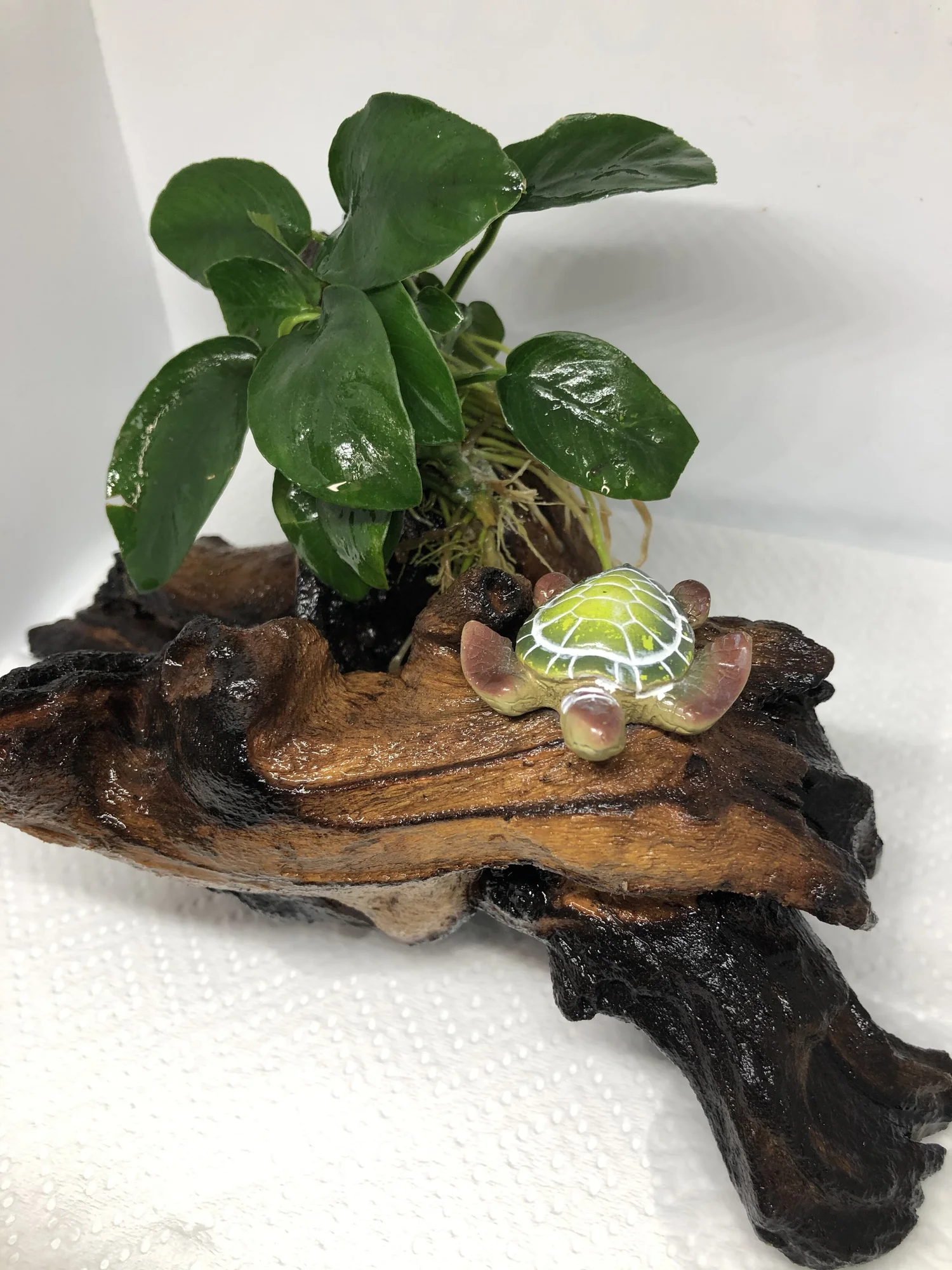 H2O Creations