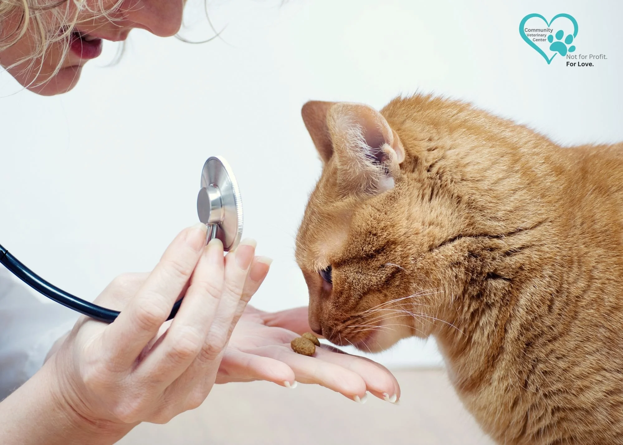 All Pets Welcome — Community Veterinary Center