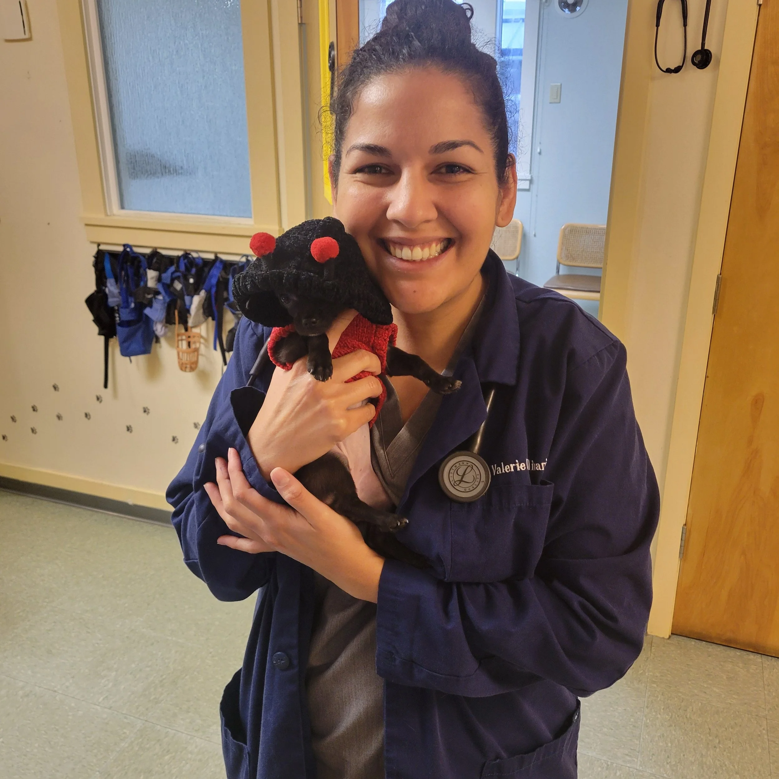 About Us — Community Veterinary Center