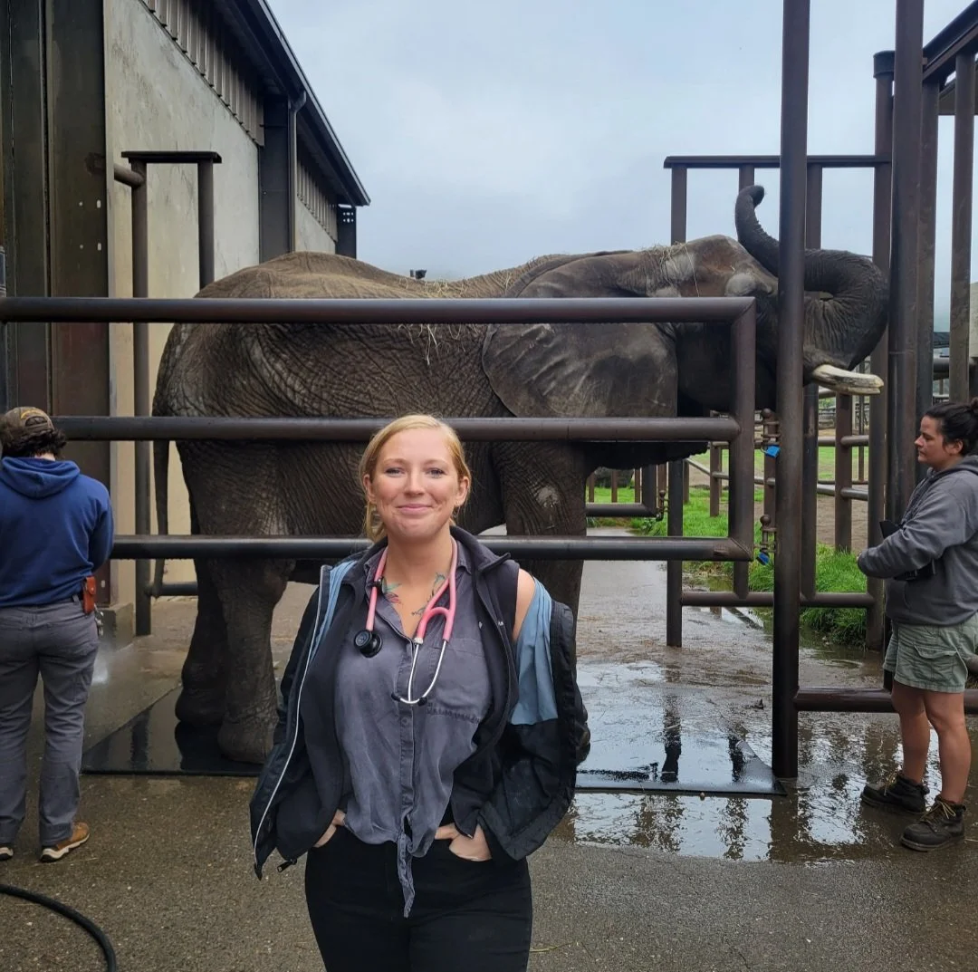 Team — Community Veterinary Center