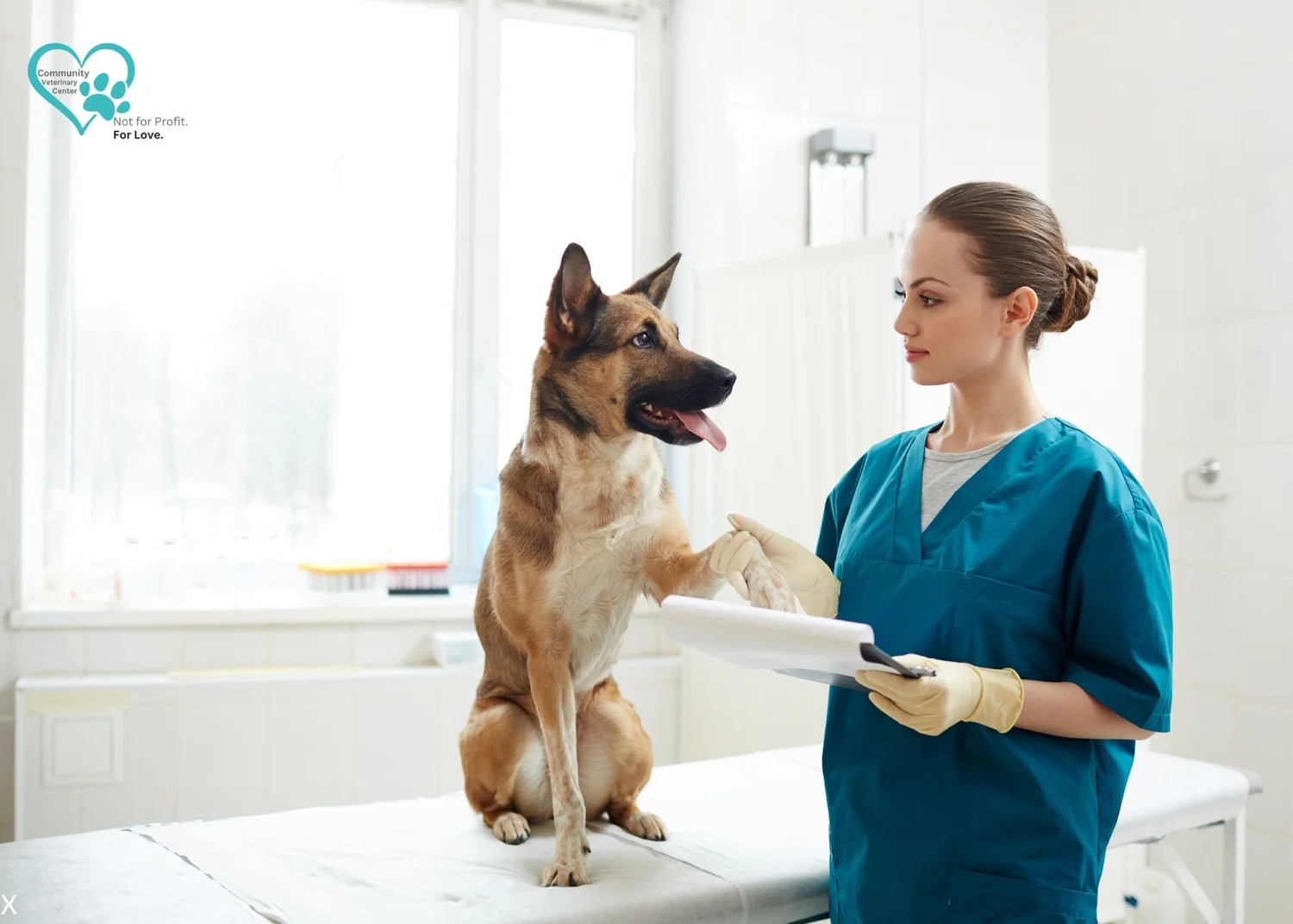 All Pets Welcome — Community Veterinary Center