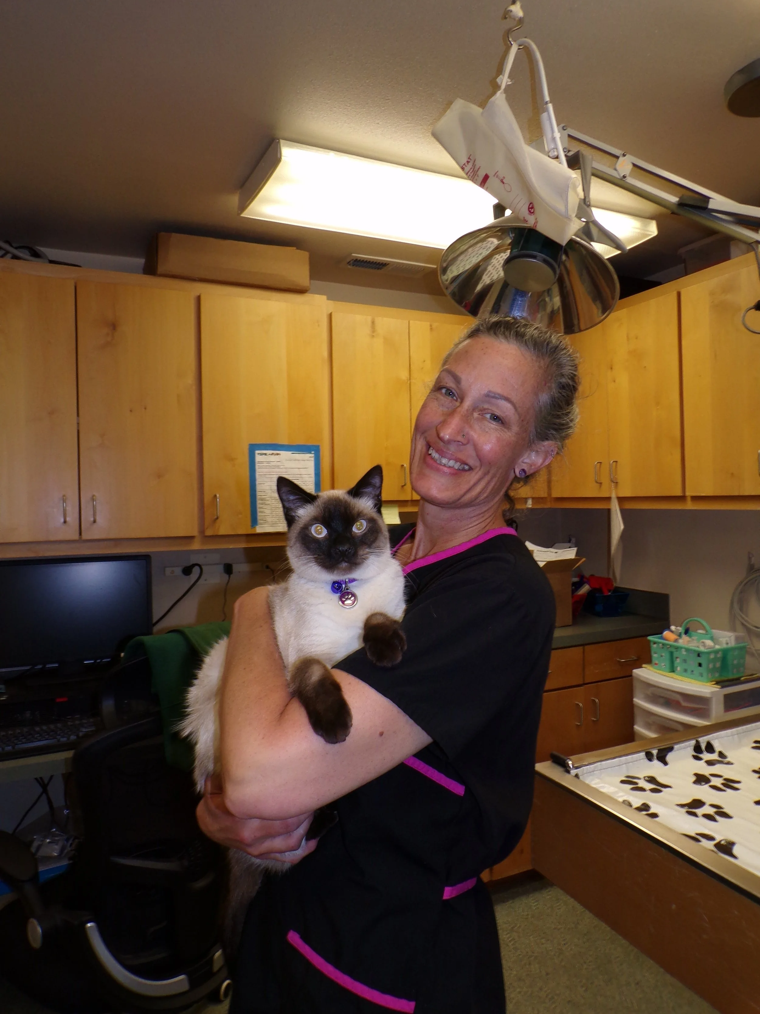 About Us — Community Veterinary Center