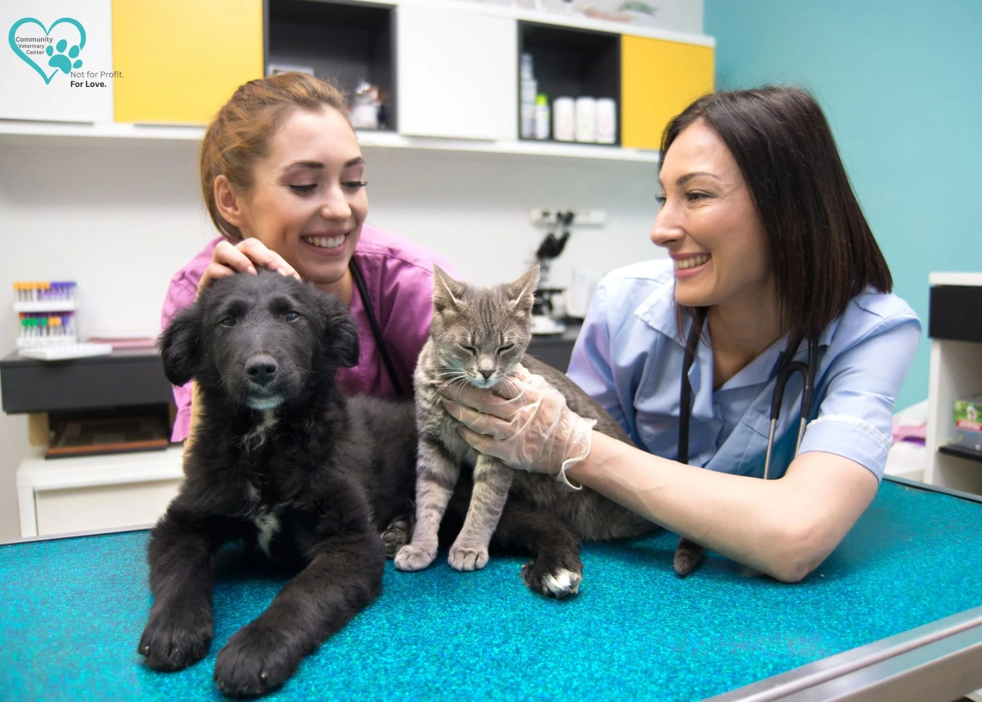 All Pets Welcome — Community Veterinary Center