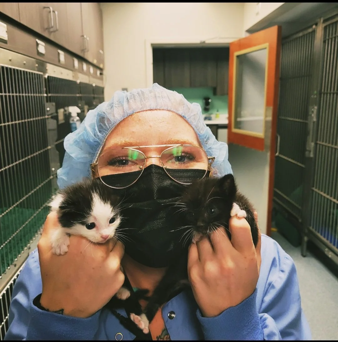 All Pets Welcome — Community Veterinary Center