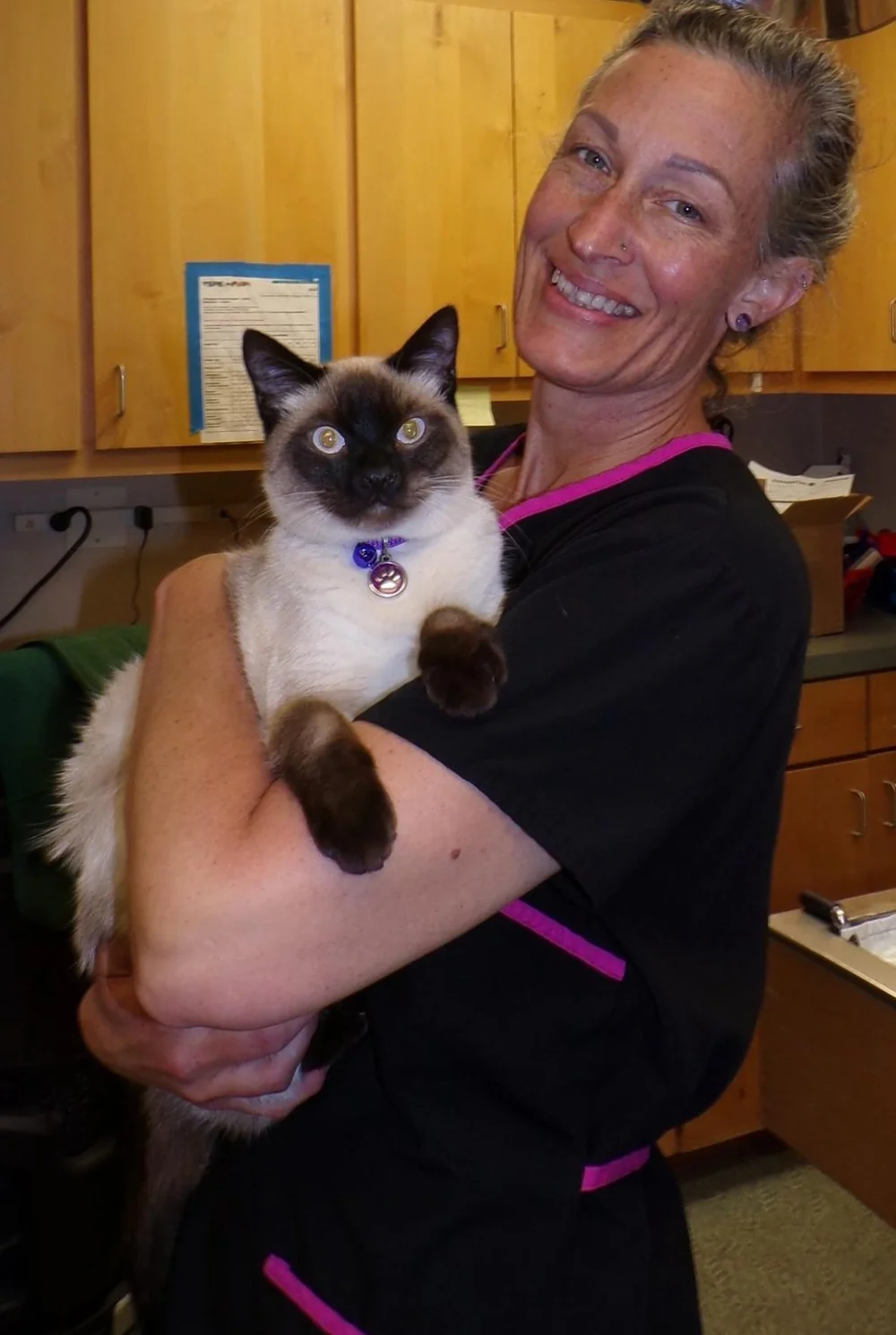 Team — Community Veterinary Center