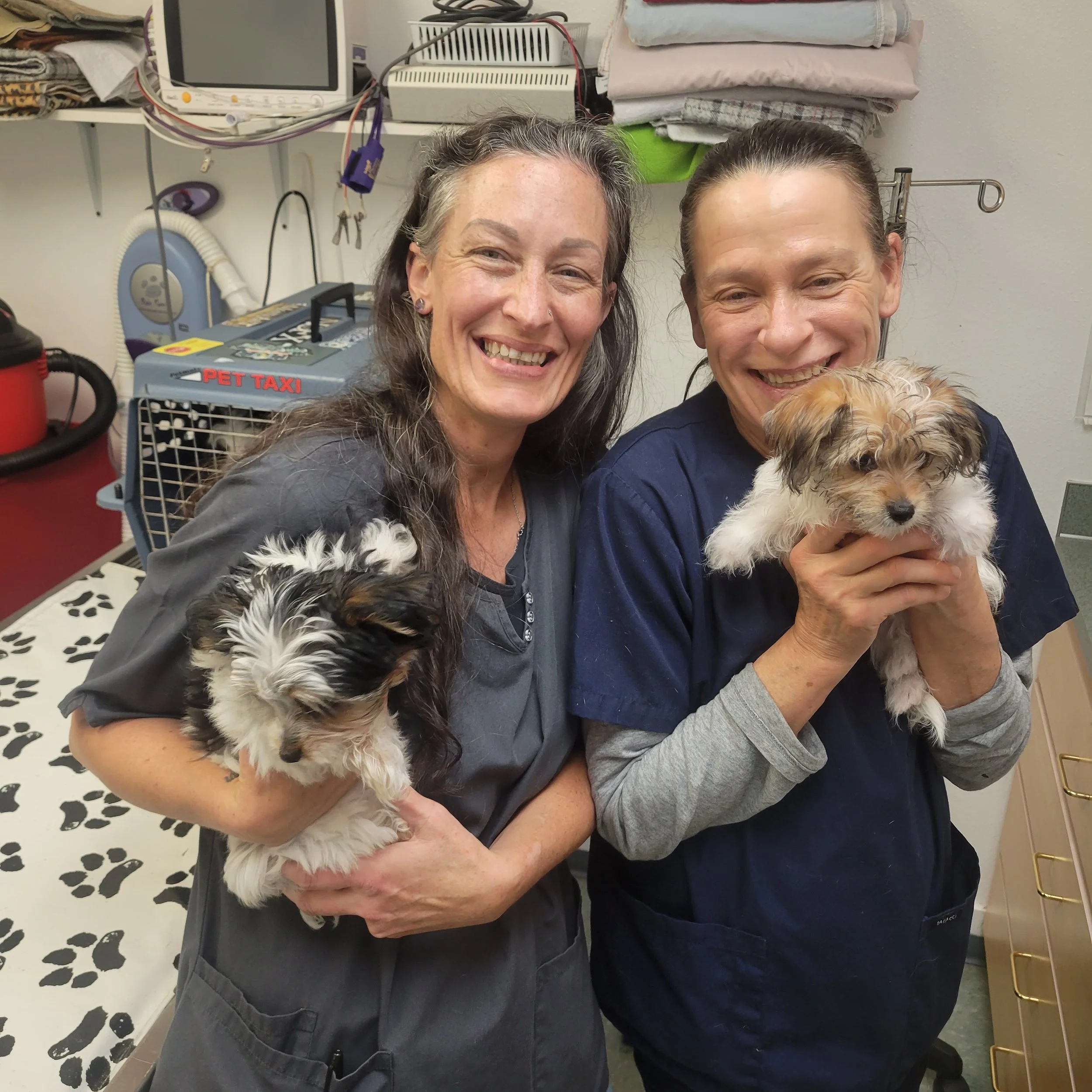 About Us — Community Veterinary Center