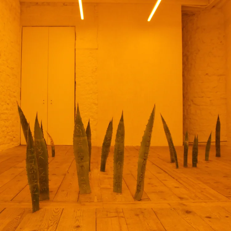 exposition d'art contemporain à lyon — galerie tatiss d'art contemporain
