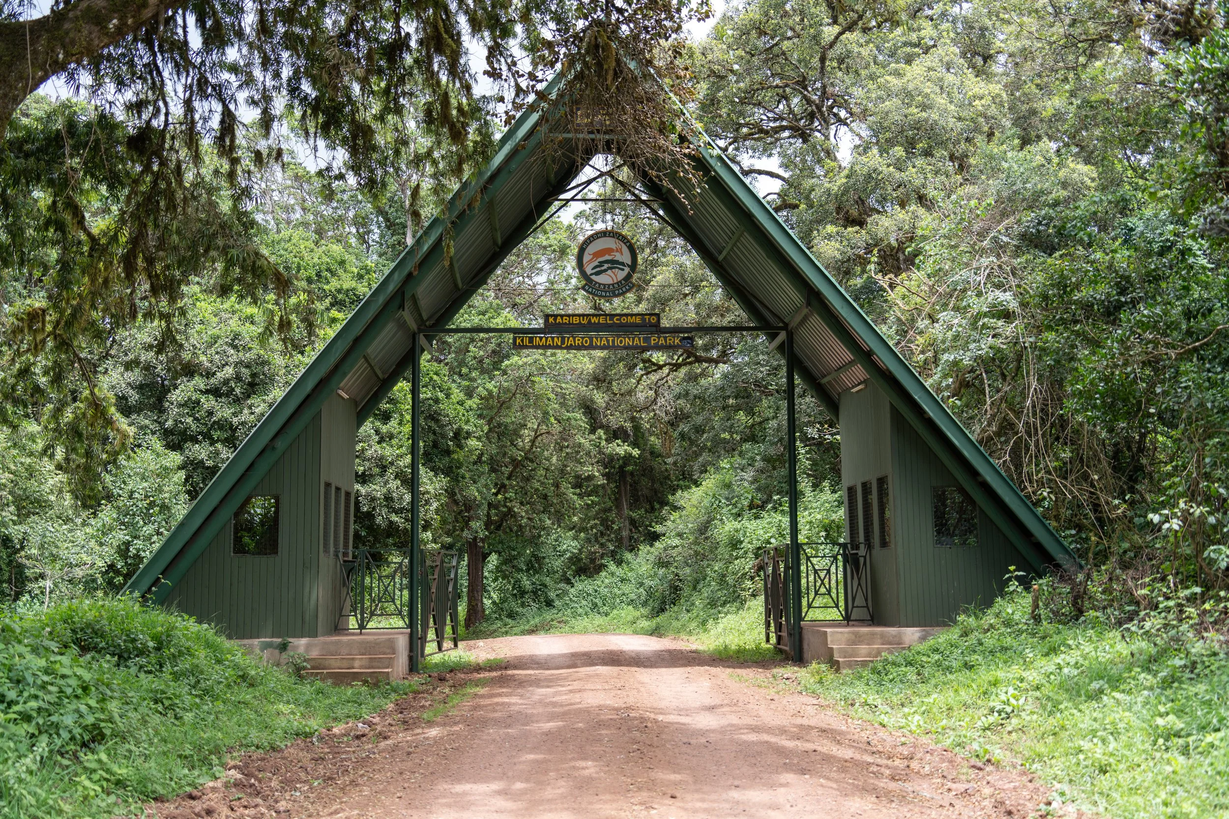 Climbing Mount Kilimanjaro via the Lemosho Route — Oh What A Knight