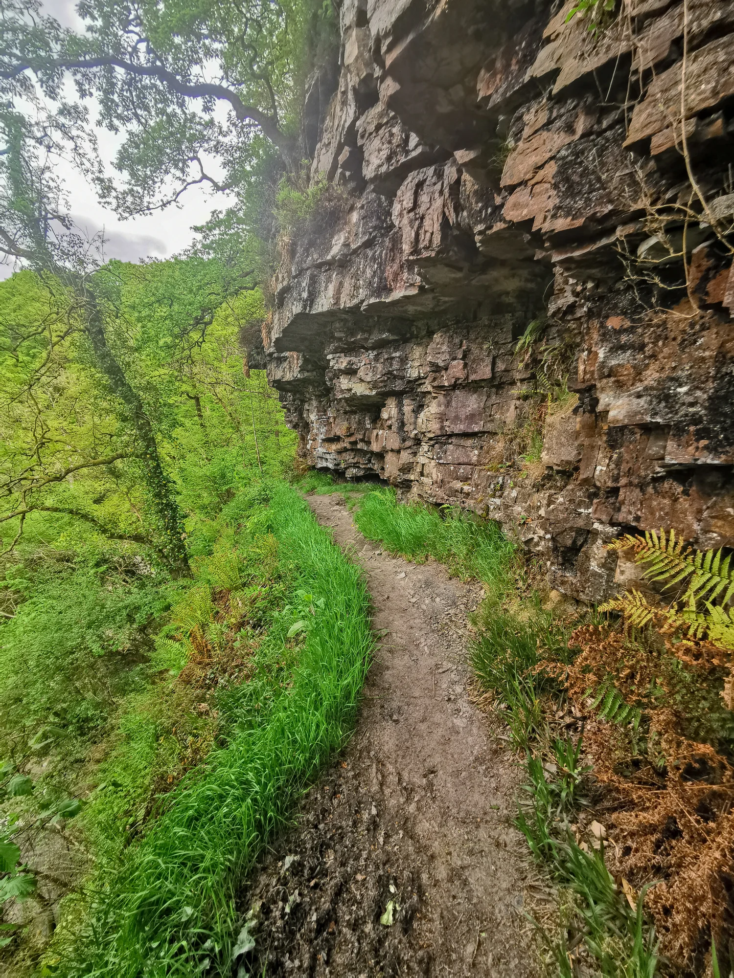 Waterfall County Circuit | The best waterfall hike in the Brecon ...