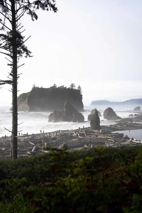A complete Pacific Northwest Road Trip Itinerary | 2 Weeks exploring ...
