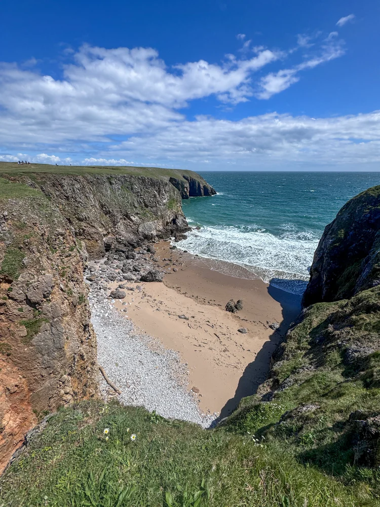 Bosherston Lily Ponds, Broadhaven South, & Barafundle Bay ...