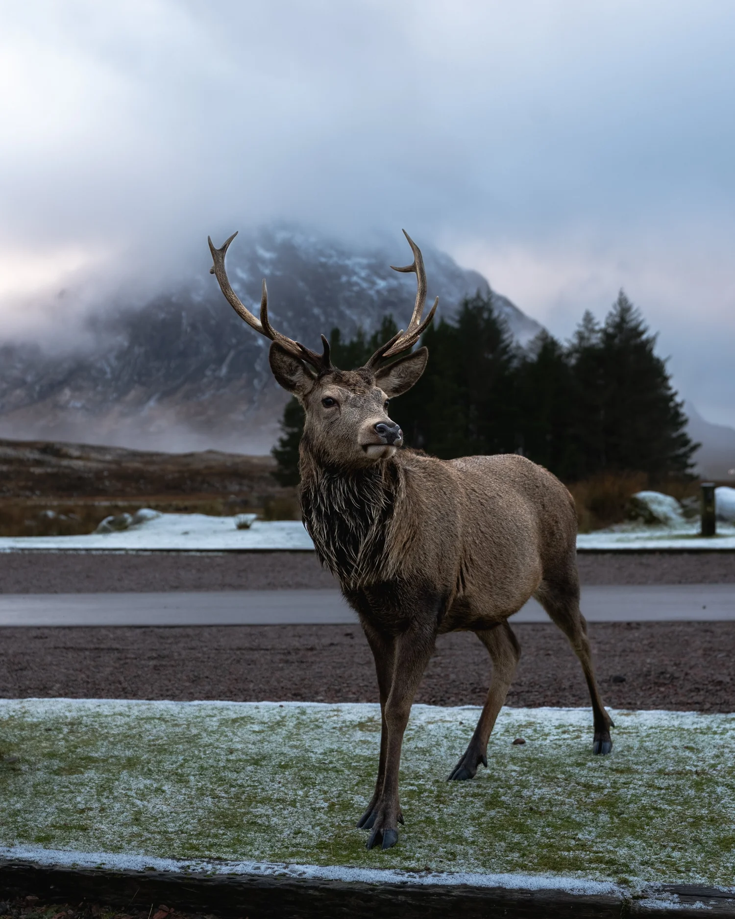 10 of the best things to see and do in Glencoe — Oh What A Knight