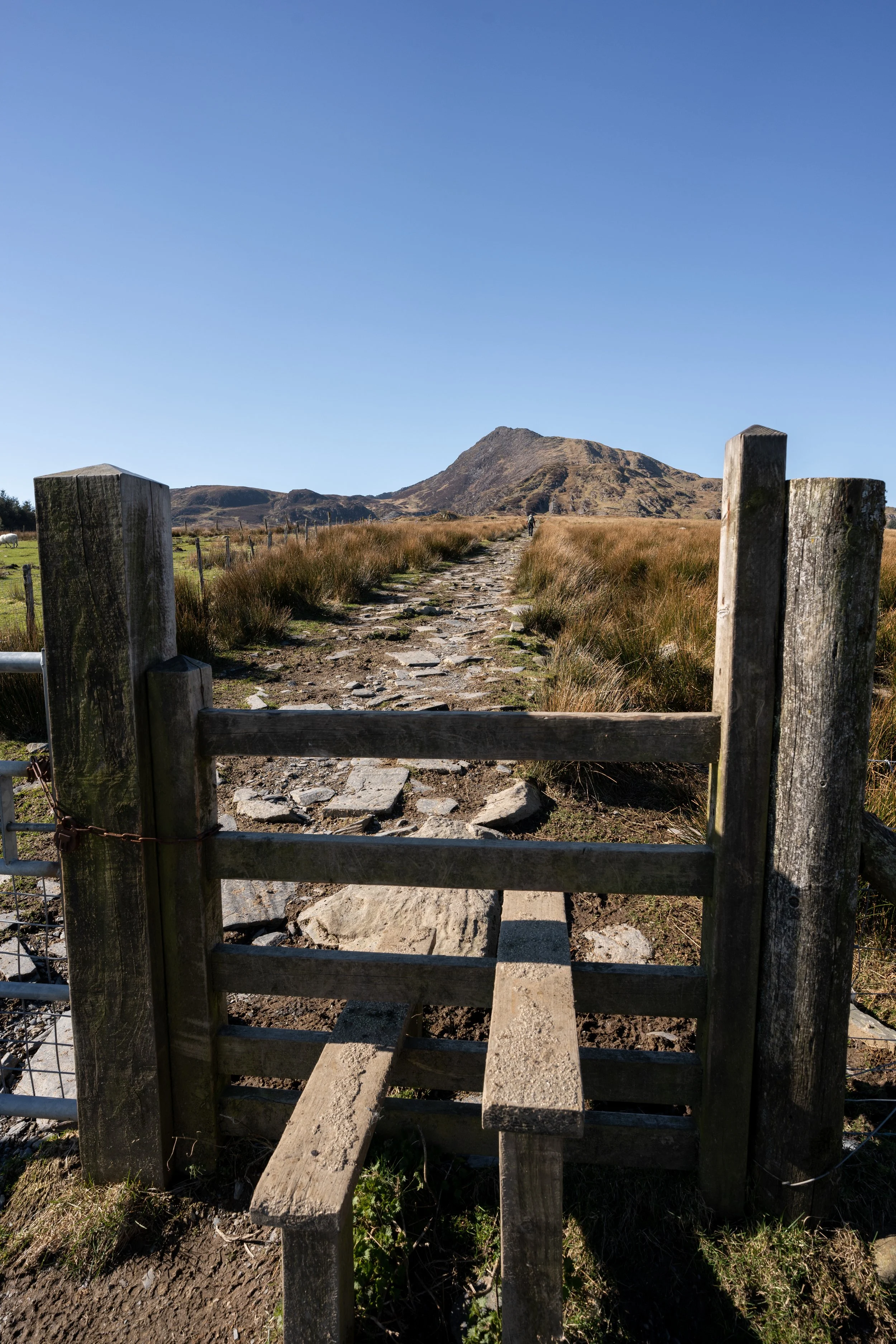 Moel Siabod Hike guide | Snowdonia National Park — Oh What A Knight