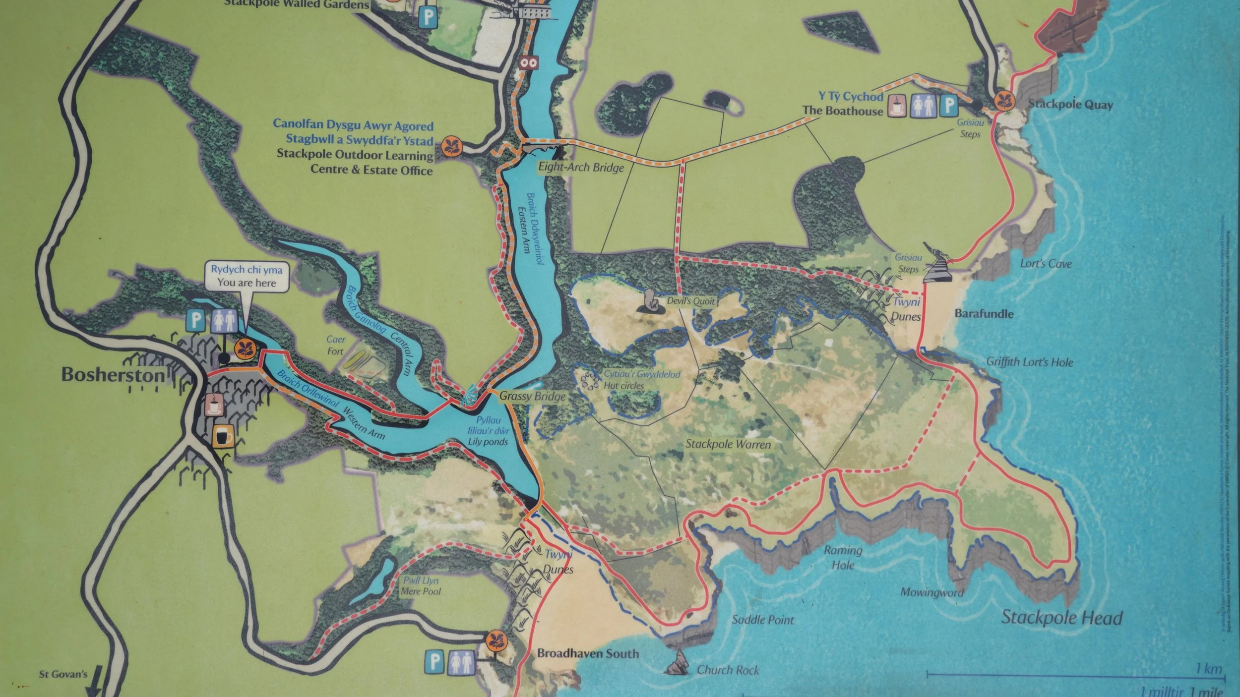 Bosherston Lily Ponds, Broadhaven South, & Barafundle Bay ...