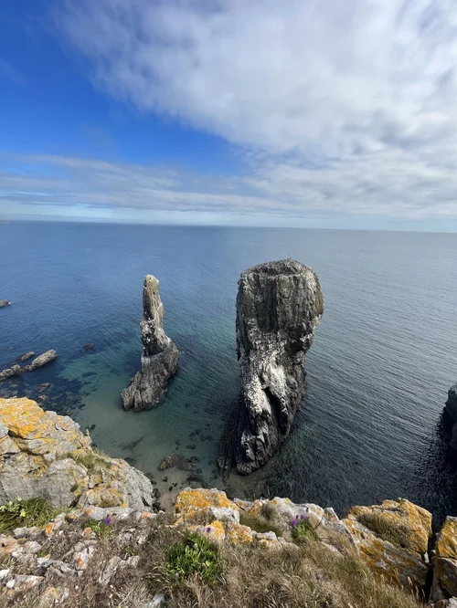 A guide to the Green Bridge of Wales and Stack Rocks | Pembrokeshire ...