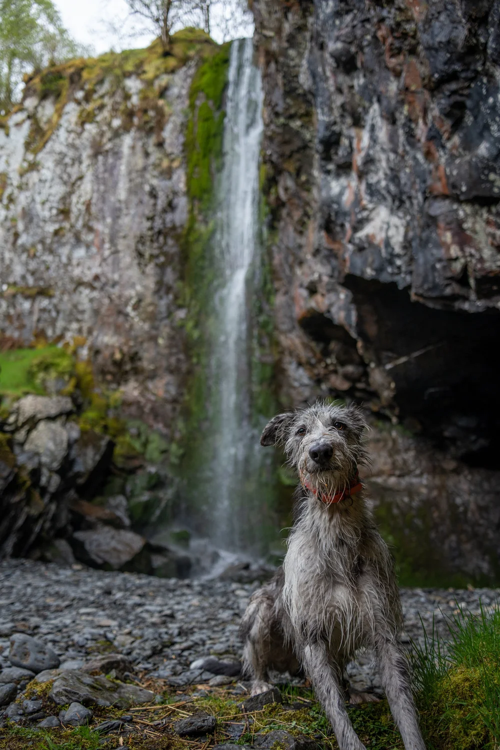 Finding Snowdonia's Secret Waterfall — Oh What A Knight