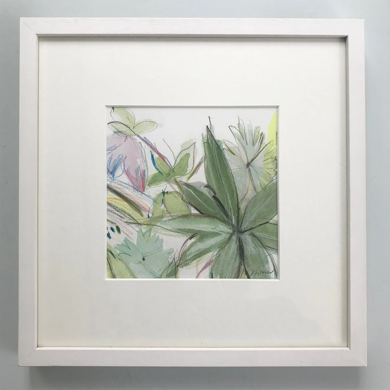 'Wild garden' — JUDITH GLOVER