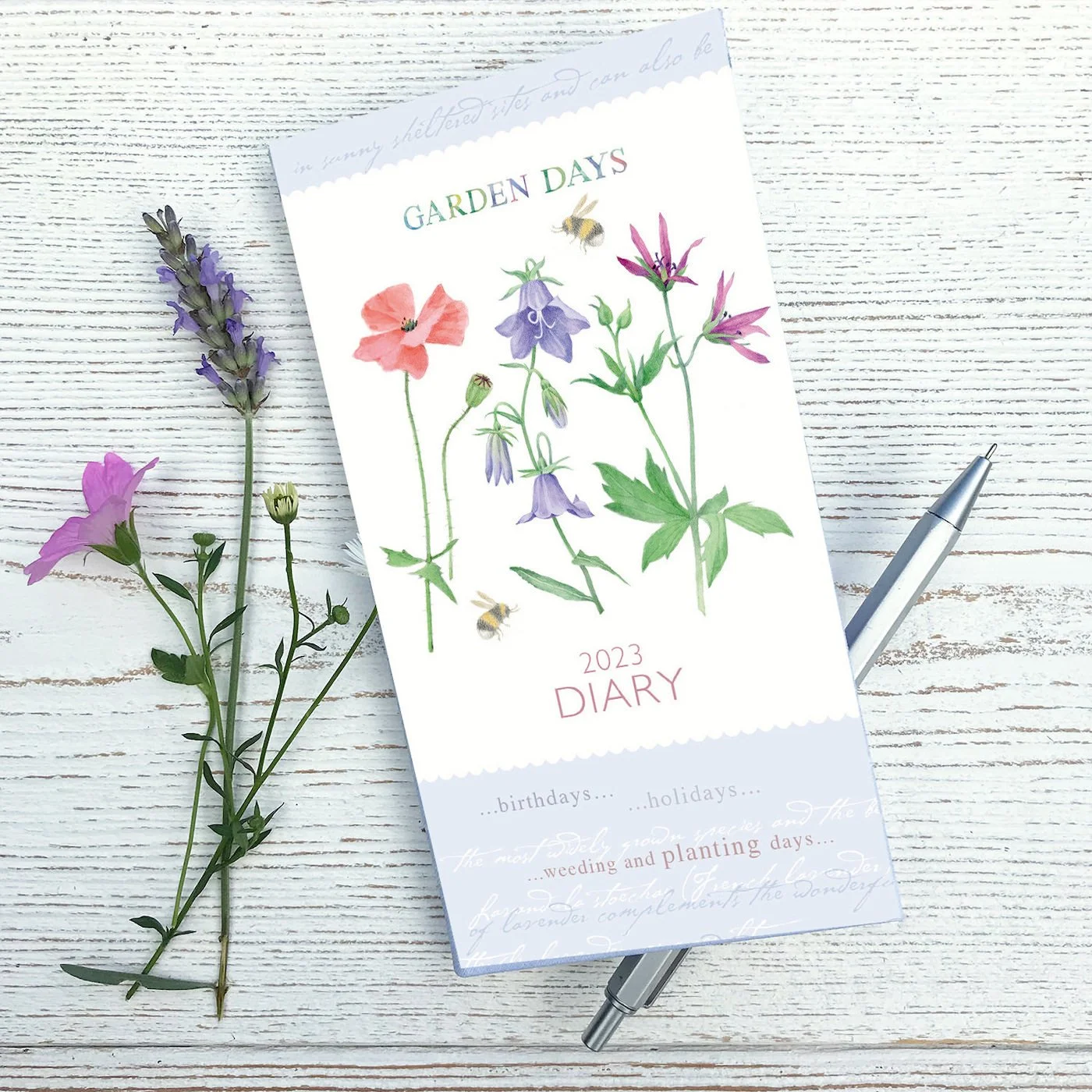 Original art & illustrated paper goods by Judith Glover — JUDITH GLOVER