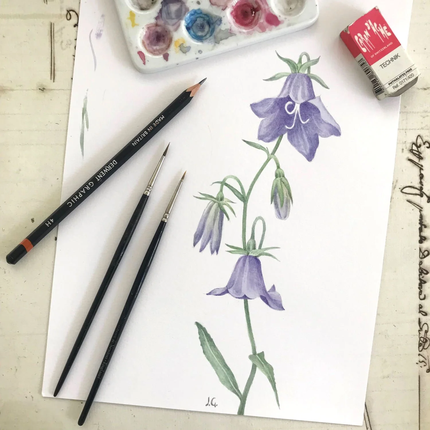 Original art & illustrated paper goods by Judith Glover — JUDITH GLOVER