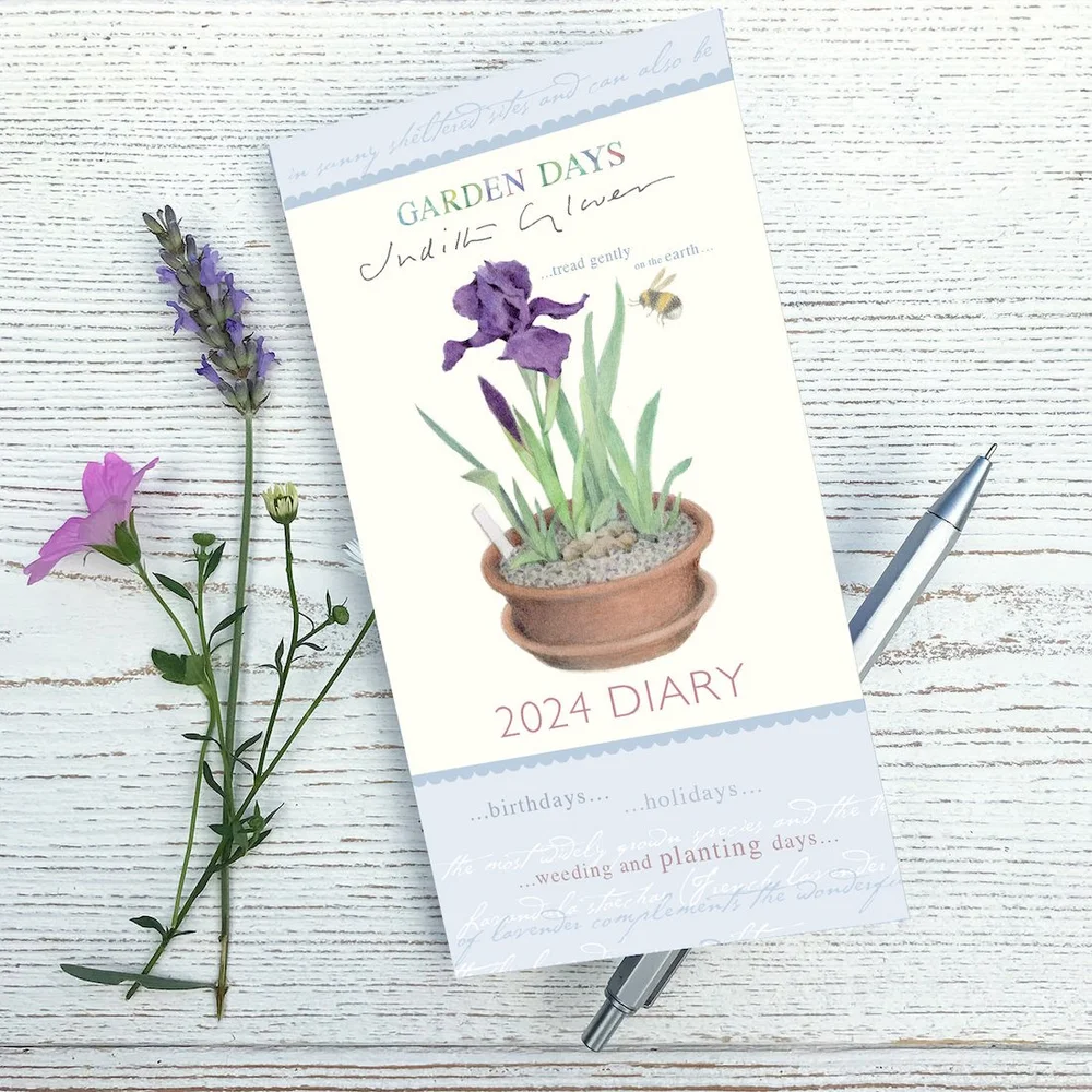 Original art & illustrated paper goods by Judith Glover — JUDITH GLOVER