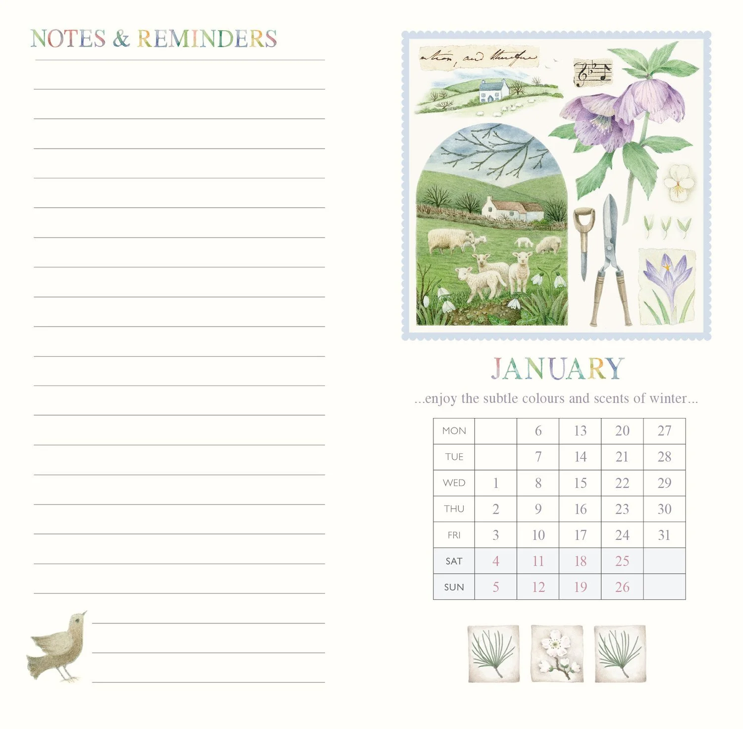 Original art & illustrated paper goods by Judith Glover — JUDITH GLOVER
