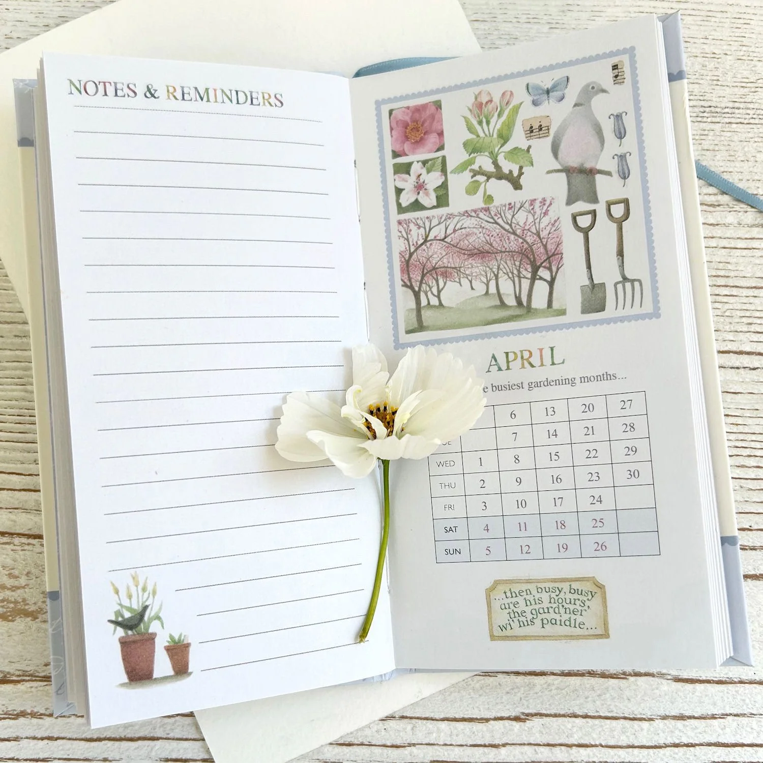 Original art & illustrated paper goods by Judith Glover — JUDITH GLOVER