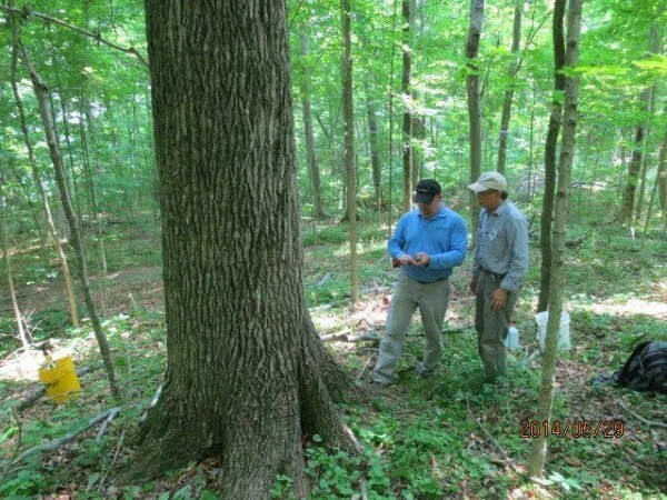 Projects — Audubon Miami Valley