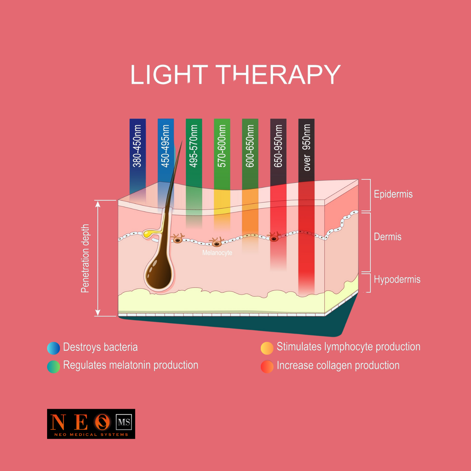 BeautyRED - Learn more about Red Light Therapy