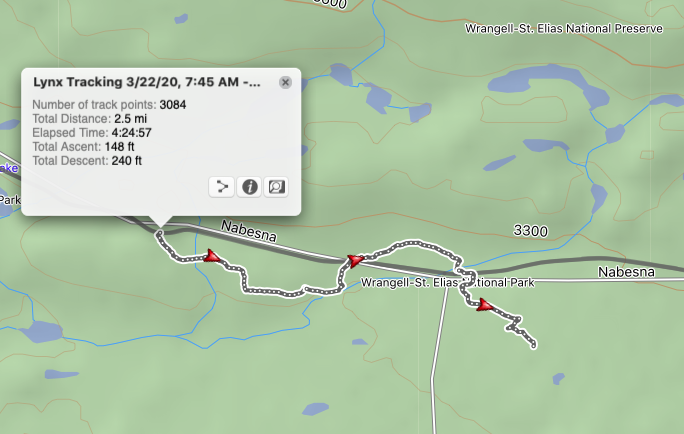 Lynx in Winter — Nakashima Photography