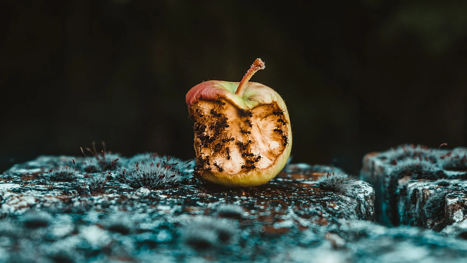 How to Escape Last Days Deception and False Teachers — Destiny Image