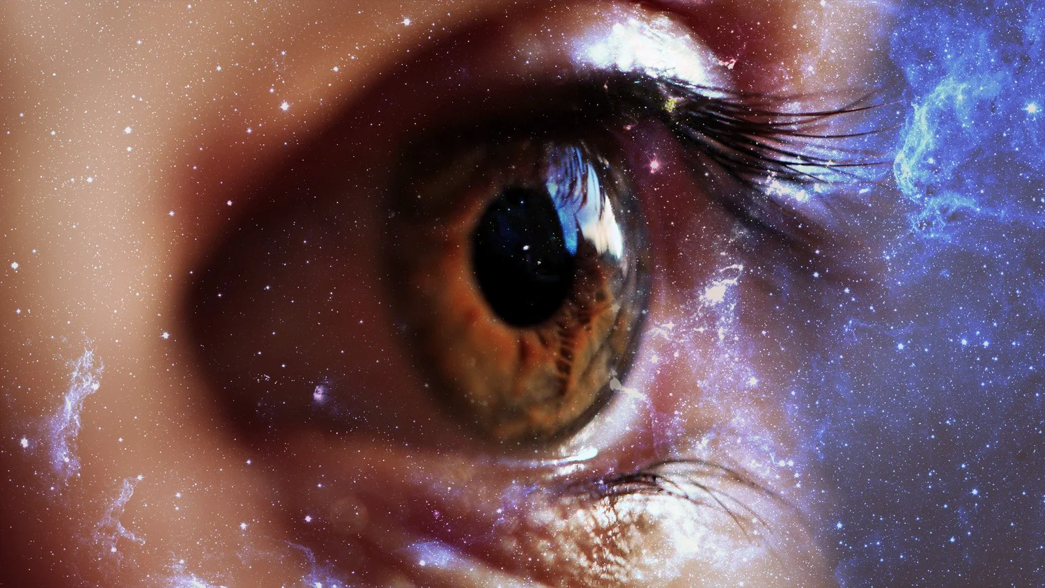 John Paul Jackson’s Vision: The End-Times Move of God Prophecy ...