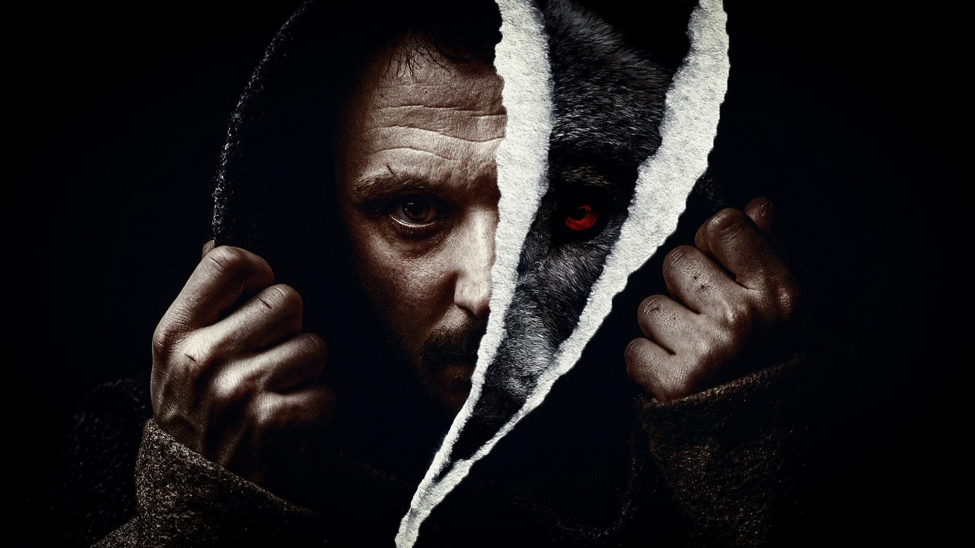 False Apostles Exposed: 5 Biblical Signs to Recognize True and ...