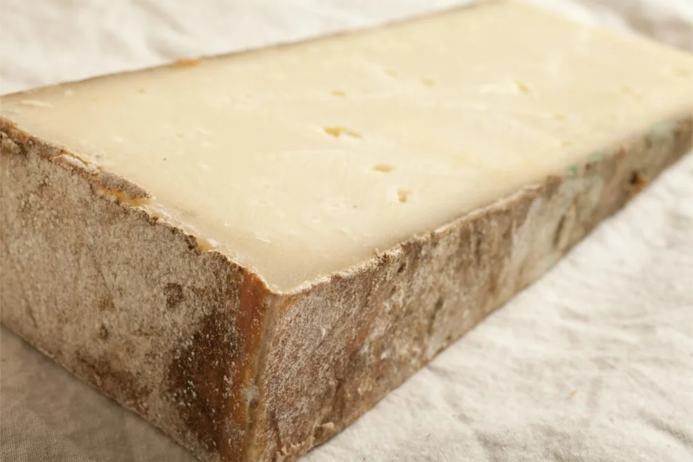 What is Fontina Cheese?