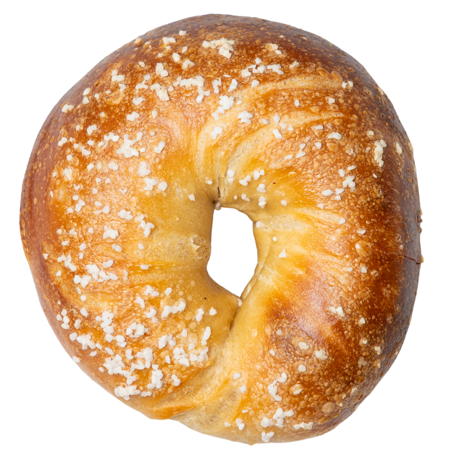 Explore Our Bagel Selection - Gotham Bagels | Fresh & Tasty — Gotham Bagels