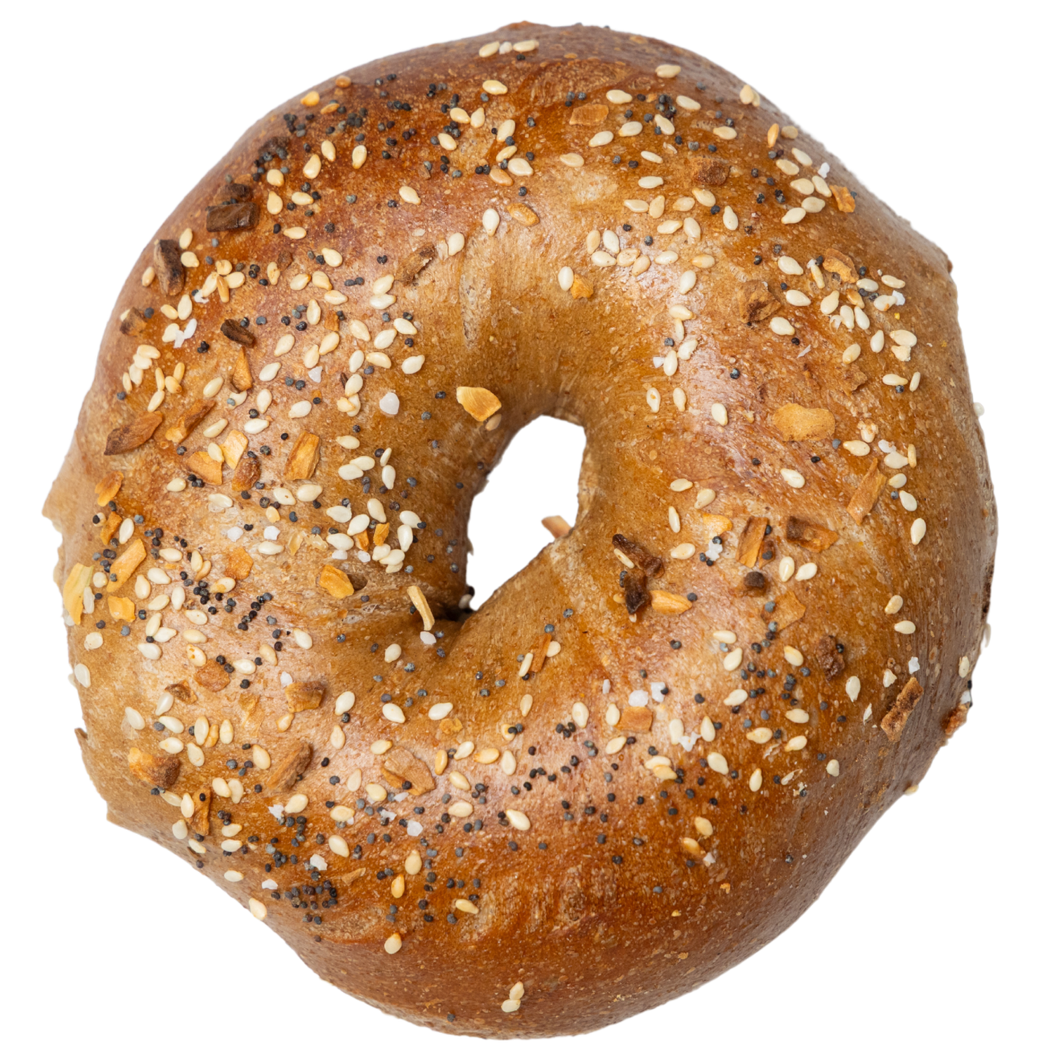 Explore Our Bagel Selection - Gotham Bagels | Fresh & Tasty — Gotham Bagels