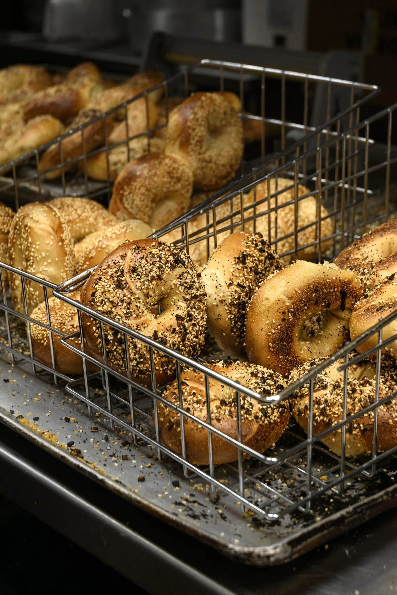 Bagel History: Origins and Evolution of the New York Style Bagel